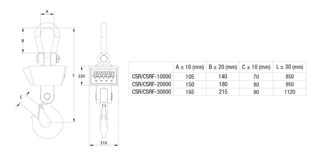 BWI-CSR CRANE SCALE | Scale-Link Automation, Inc.