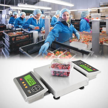 BCS304 SERIES BENCH SCALES | Scale-Link Automation, Inc.